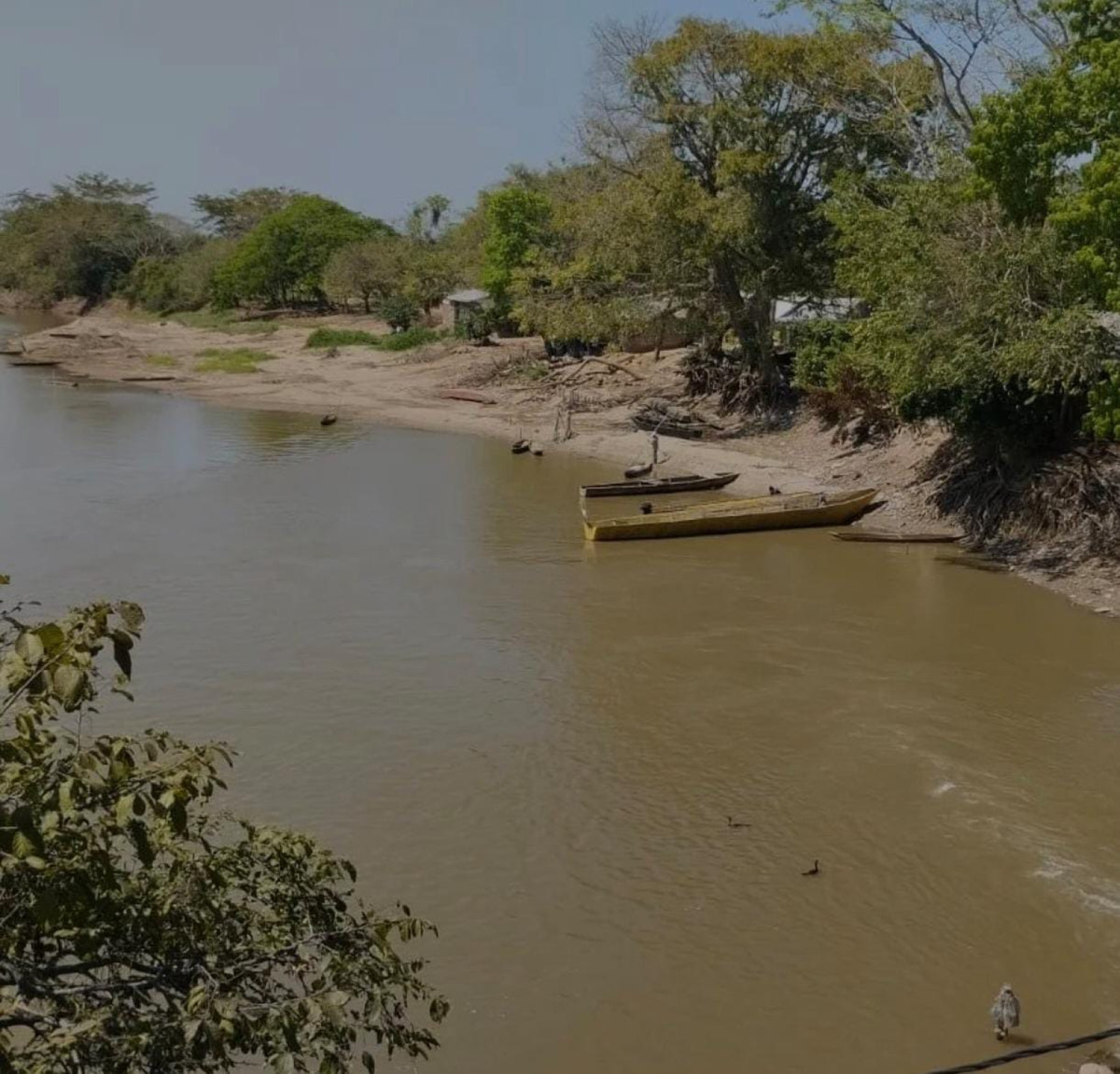 Trabajos por la restauración ecológica del río Cesar se expondrán en la ...